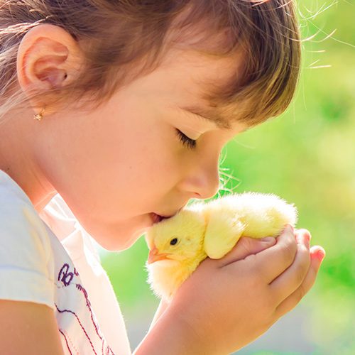 Día del Niño y Niña en México: una reflexión | Igualdad Animal México